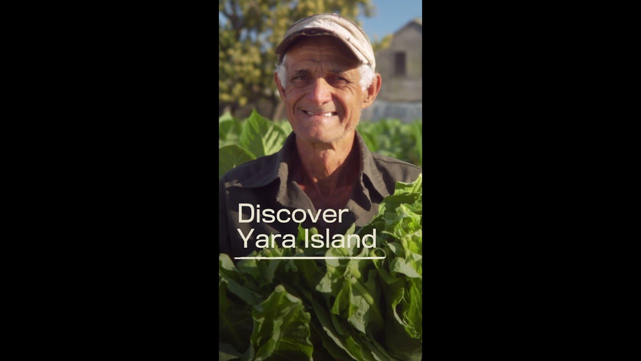 Ubisoft - Discover Yara Island - YouTube