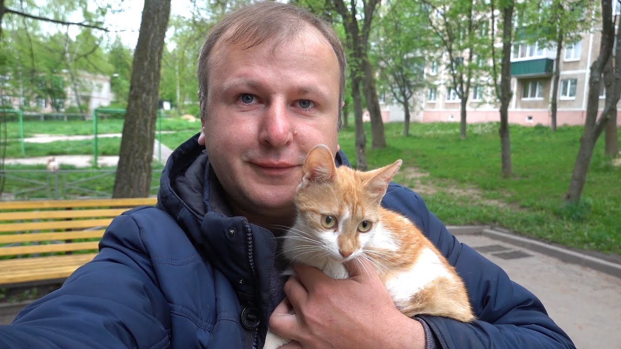 Friendly cat without a tail - YouTube