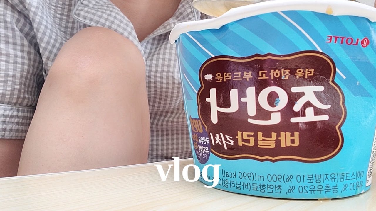 Sub Vlog 룸투어 영상보고 옷장 엎었다 큰 코 다치는 브이로그 감성따위 없다 하찮은 이틀로그 하루종일