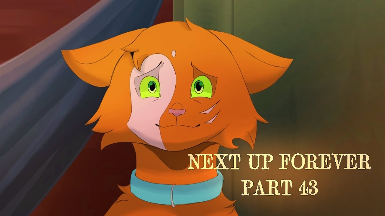 Next Up Forever MAP part 43 [Warriors Boon AU] - YouTube