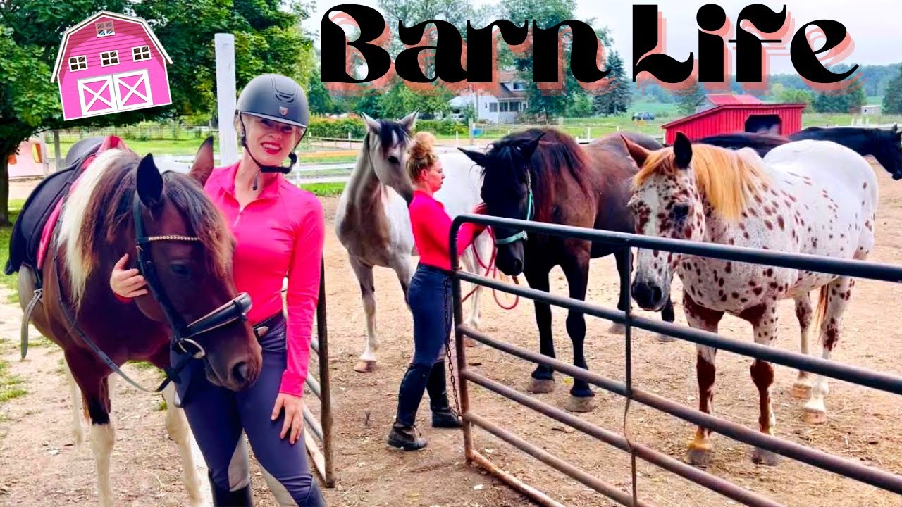 OWNING A HORSE FARM| A DAY IN THE LIFE - YouTube