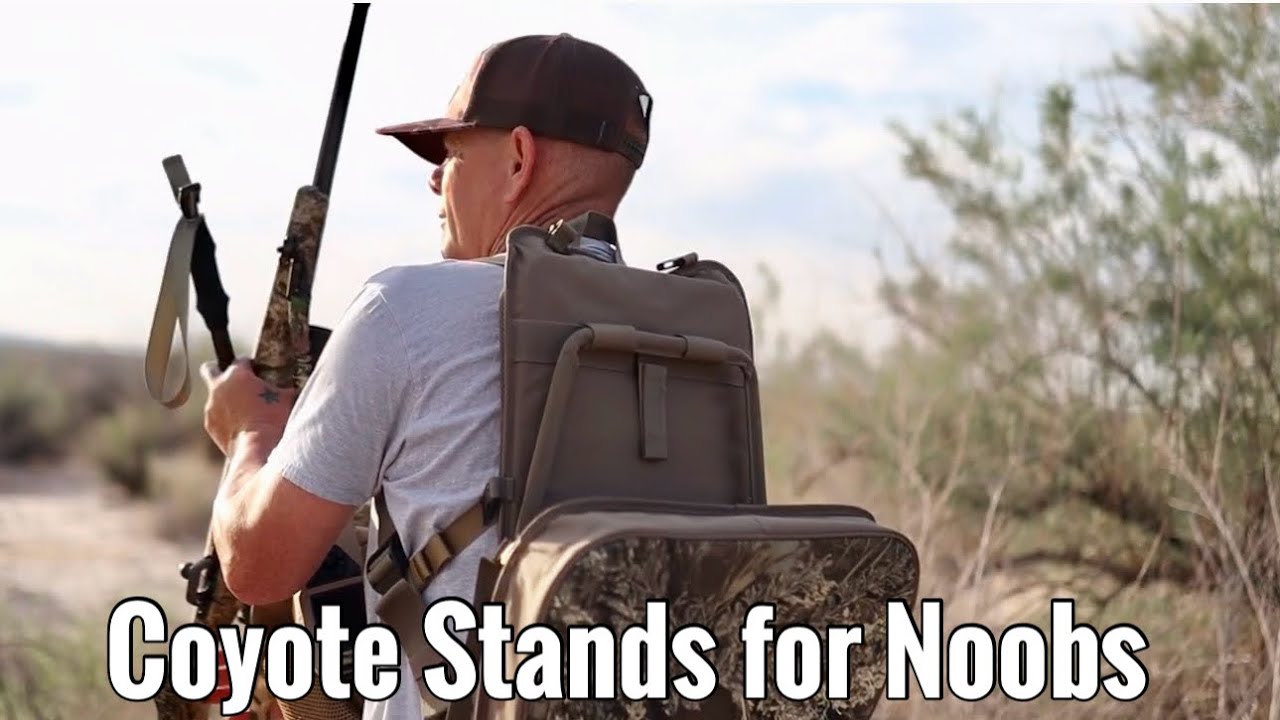 How To Find The Best Coyote Stands For Beginners - YouTube