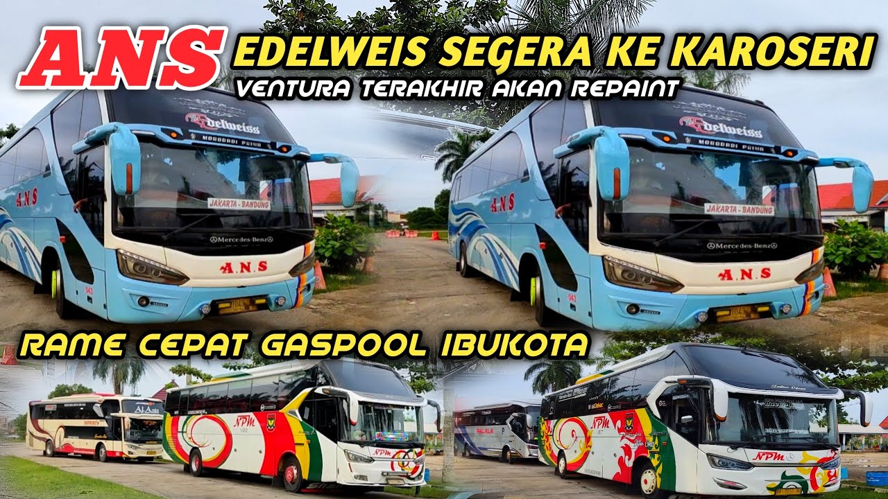 ANS EDELWEIS SELANJUTNYA KE KAROSERI COVER BOY- GANTIINO-NO COMMENT BUNGO RAYO ,KOMPAK GASPOOL 😎 ...