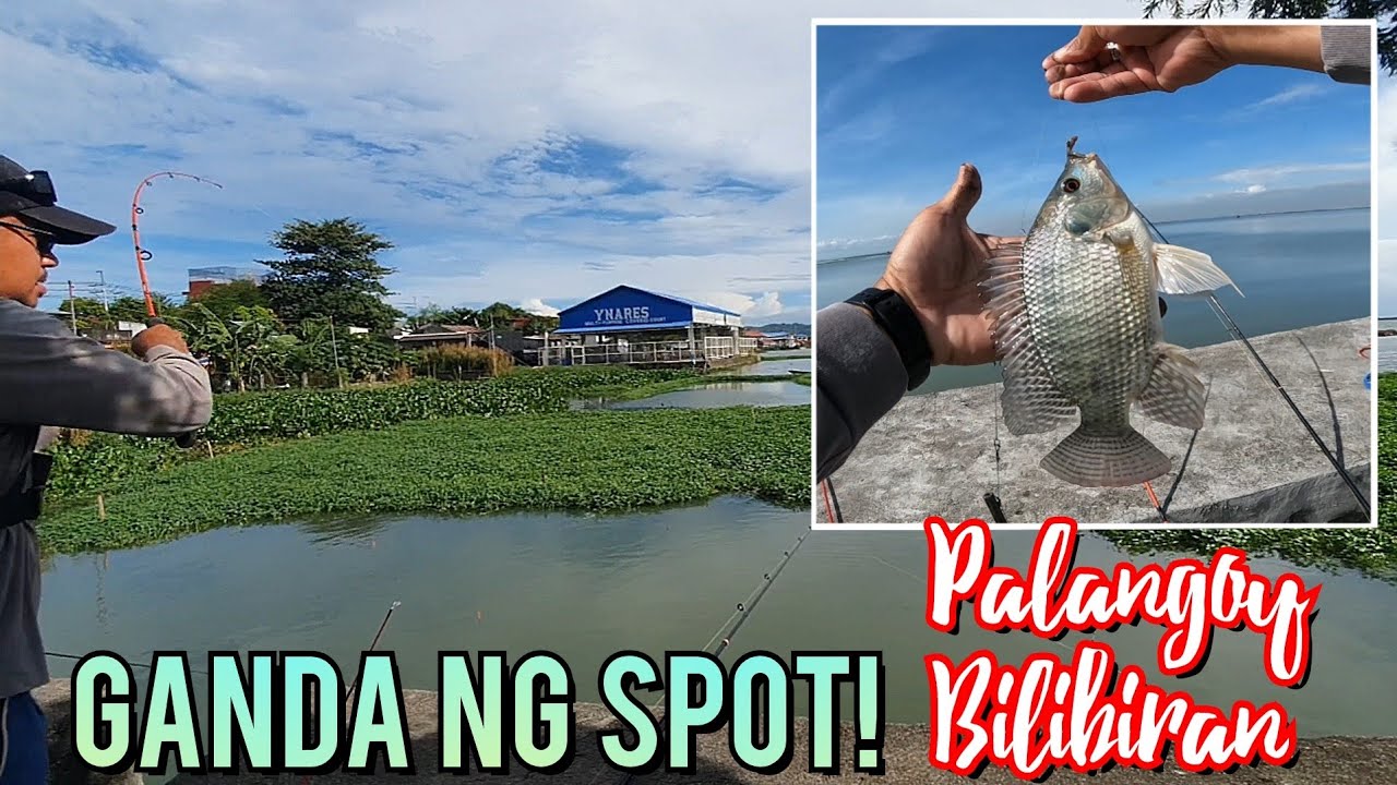 NASA KANGKUNGAN ANG MGA TILAPIA | BINANGONAN, RIZAL - YouTube