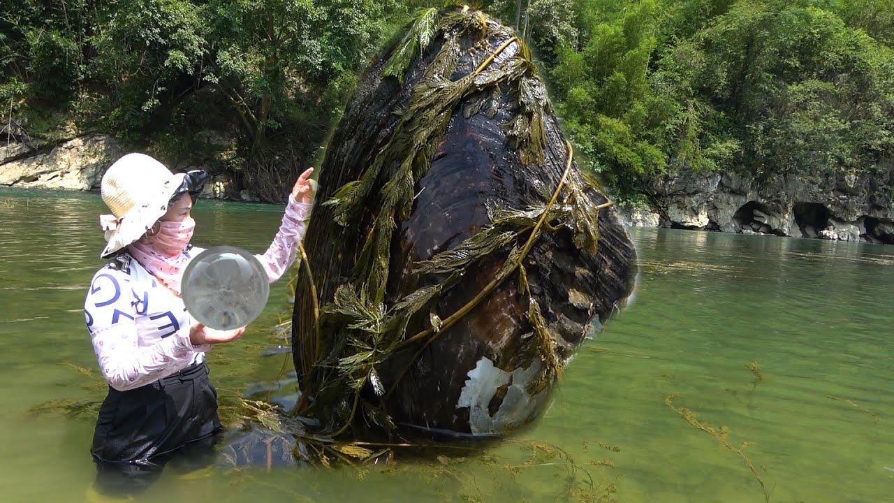 I found a rare treasure on the mother clam, which is a beautiful, super ...