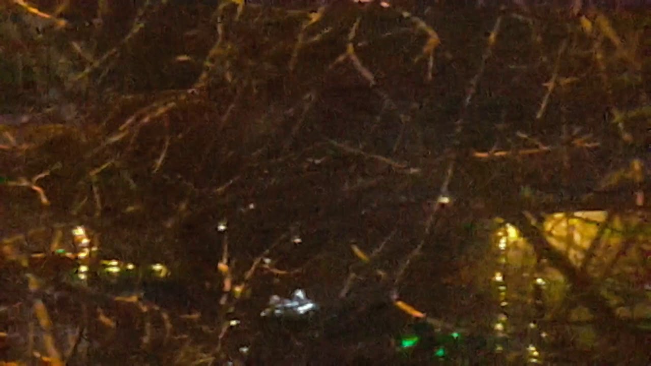 Dec 29, 2019 - YouTube