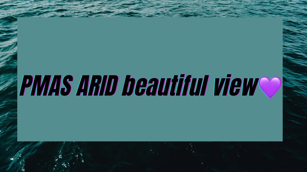 Beautiful view of University || Pmas Arid || University vlog || - YouTube