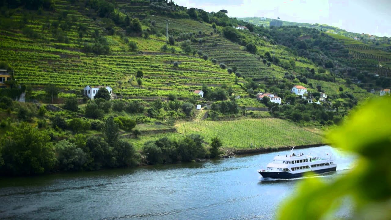 ROTA do DOURO - YouTube