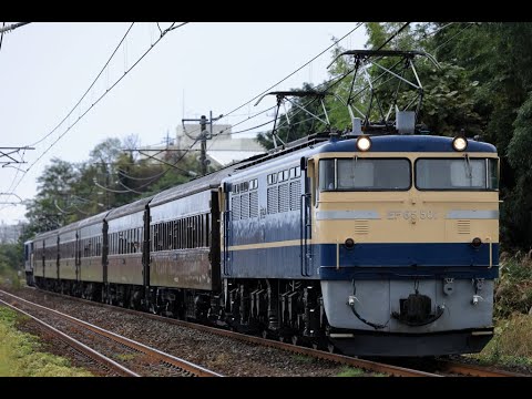 2024/10/28 臨時列車『EL群馬県民の日号』 EF65 501+旧型客車+EF64 1053 - YouTube