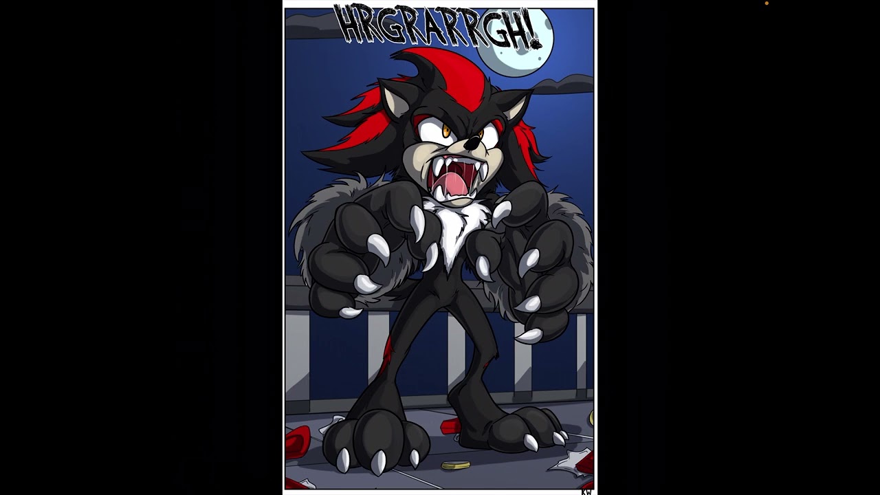 Shadow The Werehog Transformation