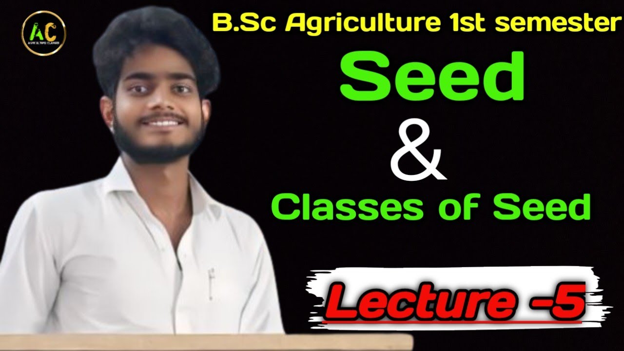 Classification of seed |Types of seed |Breeder |Foundation |Certified ...