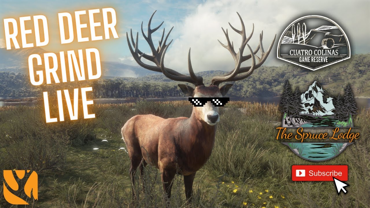Red Deer Grind LIVE | TheHunter Call of the Wild - YouTube