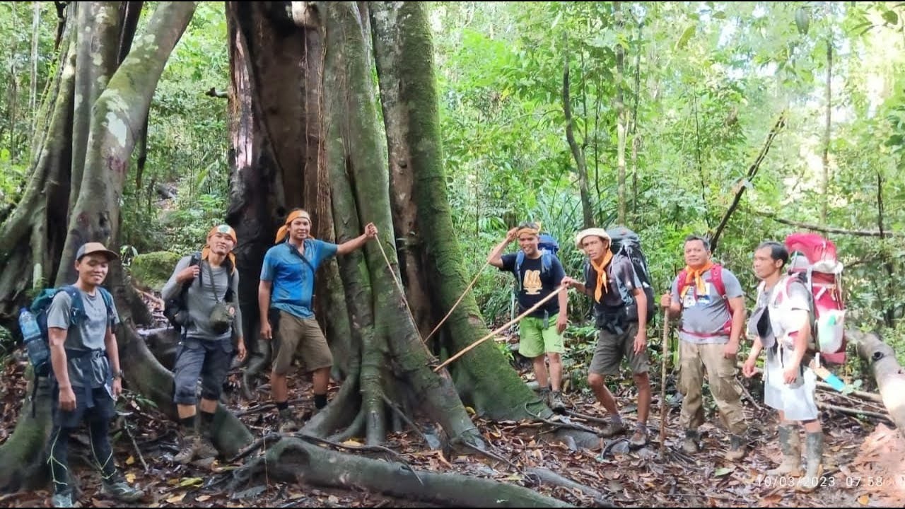 Fun Tracking Mt. Halau Halau 1901 MDPL - YouTube