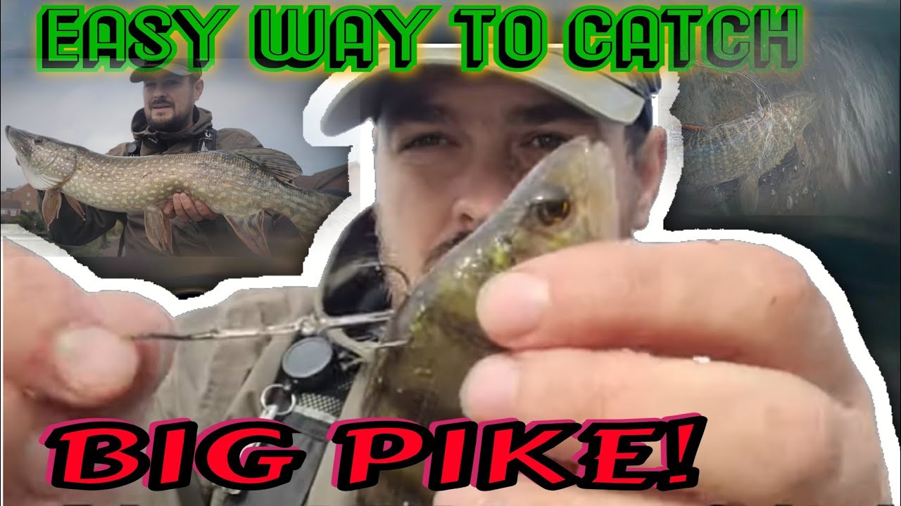 The Most Easy Way To Catch a Pike!! / live bait fishing for pikes - YouTube