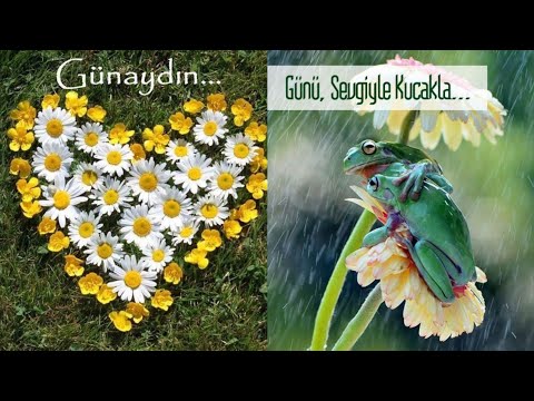 #GÜNAYDIN #MUTLUPAZARLAR #GOODMORNİNG #EKİM #PAZAR