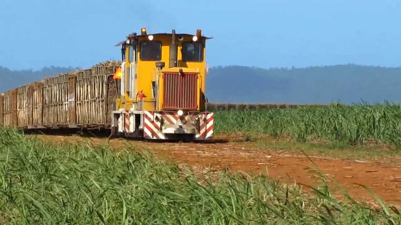 Sugar Cane train FNQ - YouTube