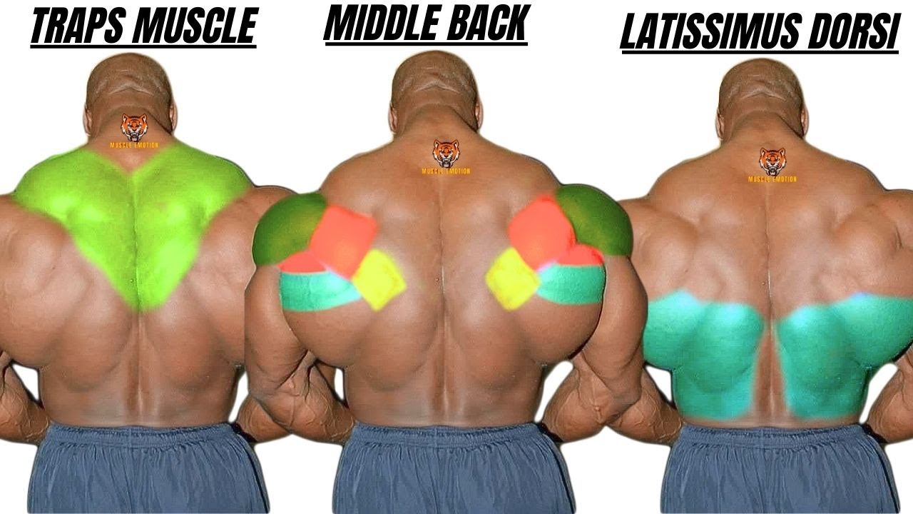 Blast your entire back with these 12 best exercises to widen and ...