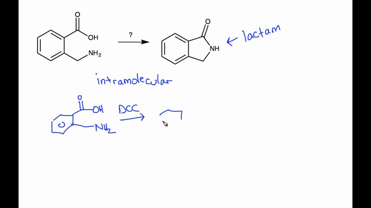 Intramolecular reaction between carboxylic acid and amide - YouTube