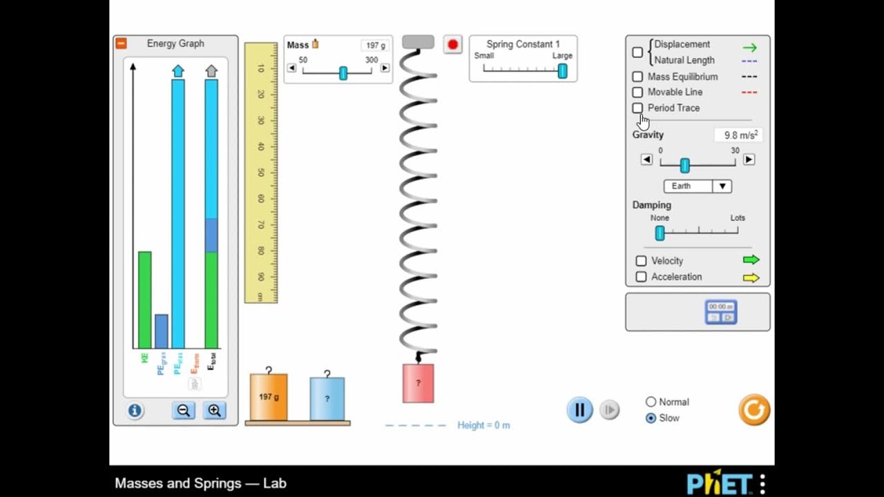 Masses and Springs - Lab - YouTube