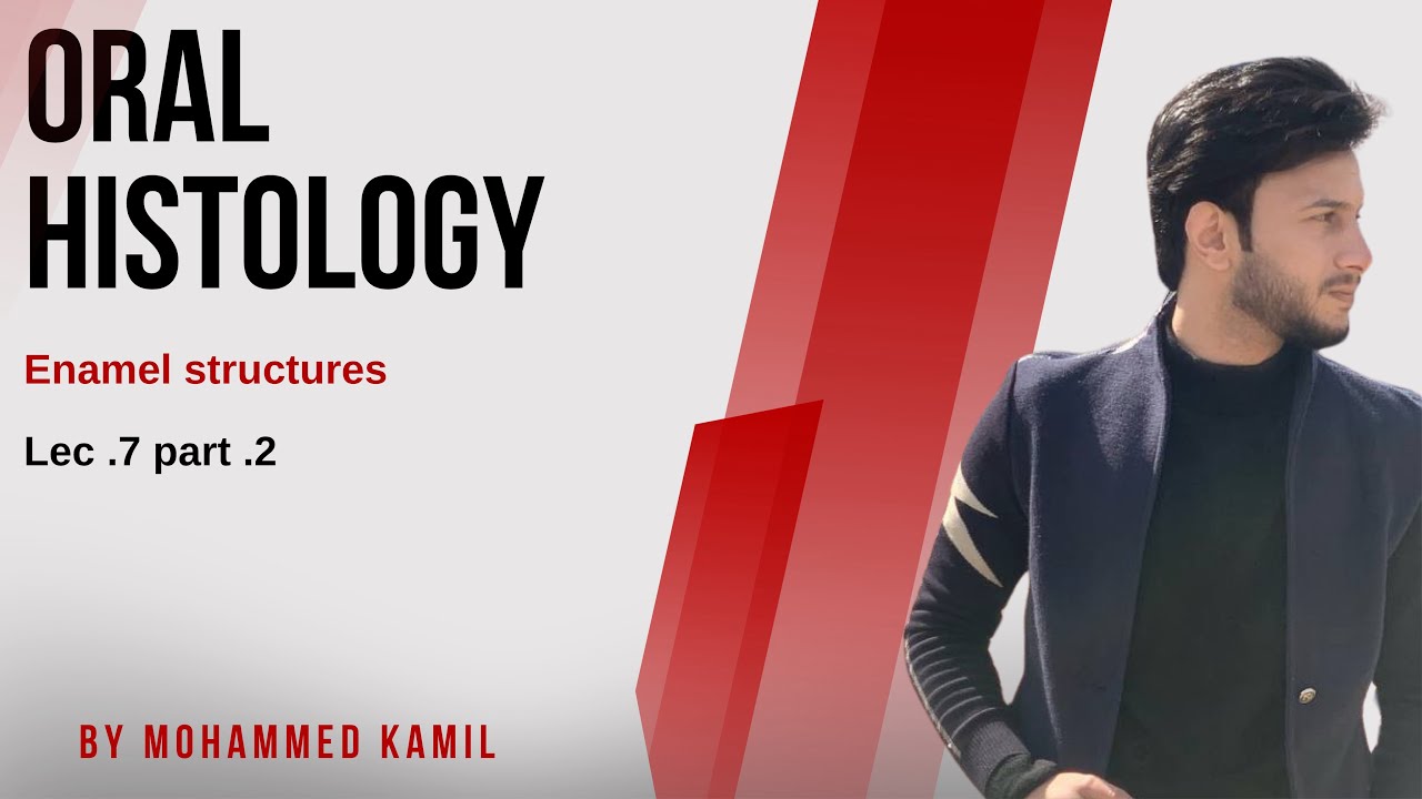 Oral histology lec. 7 - part 2 (Enamel Structures) - YouTube