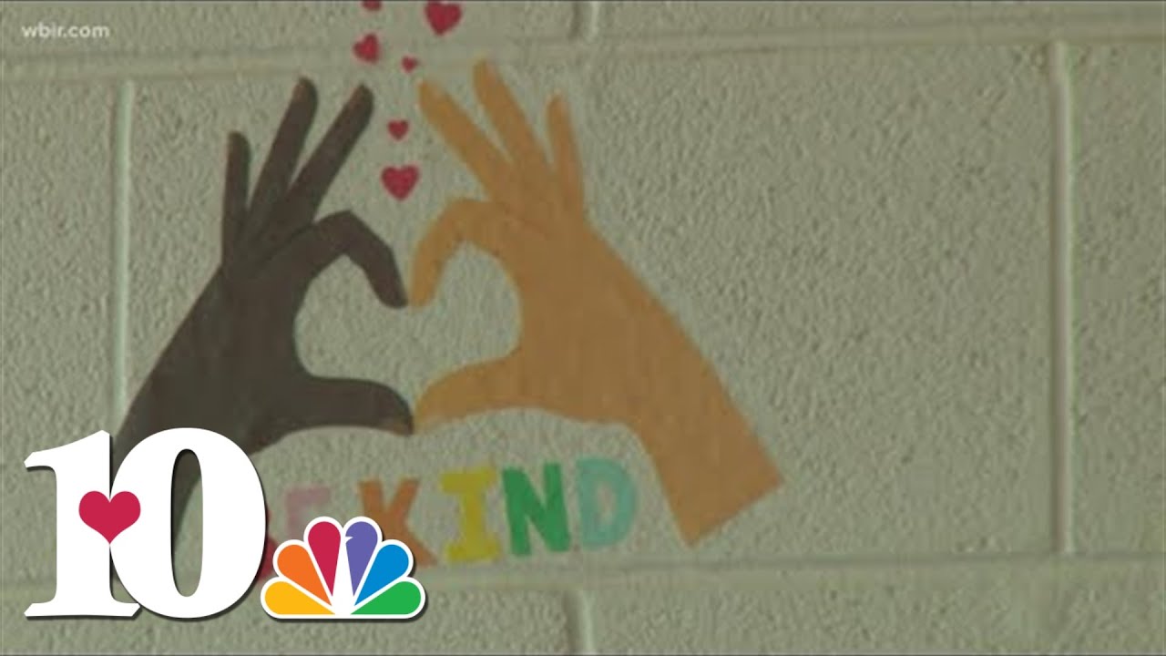 University of Tennessee Greek Life aims for inclusive experience - YouTube