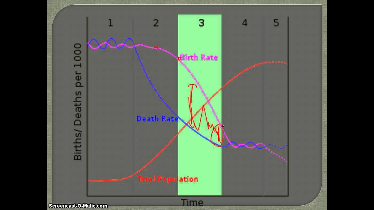 AP Human Geography - Demographic Transition Model Video 2 - YouTube