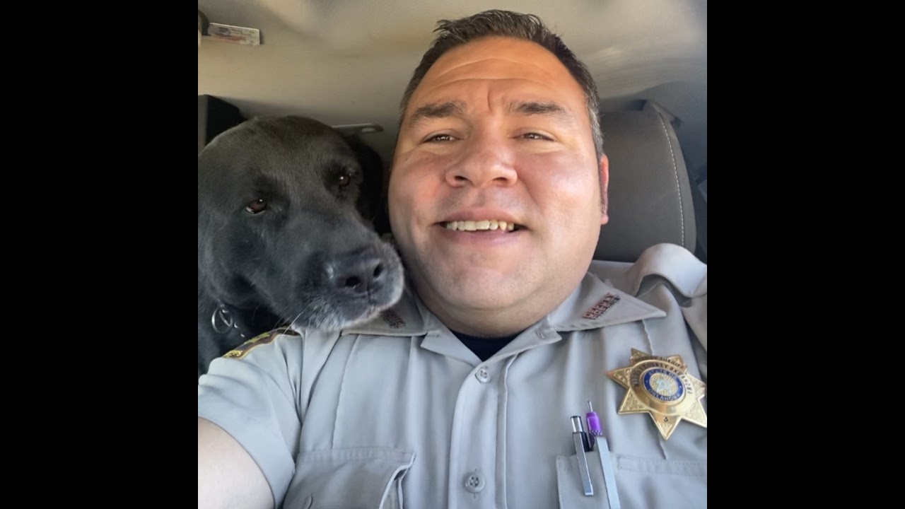 Sunday Night Live Patrol With Deputies And K9 Parter - YouTube