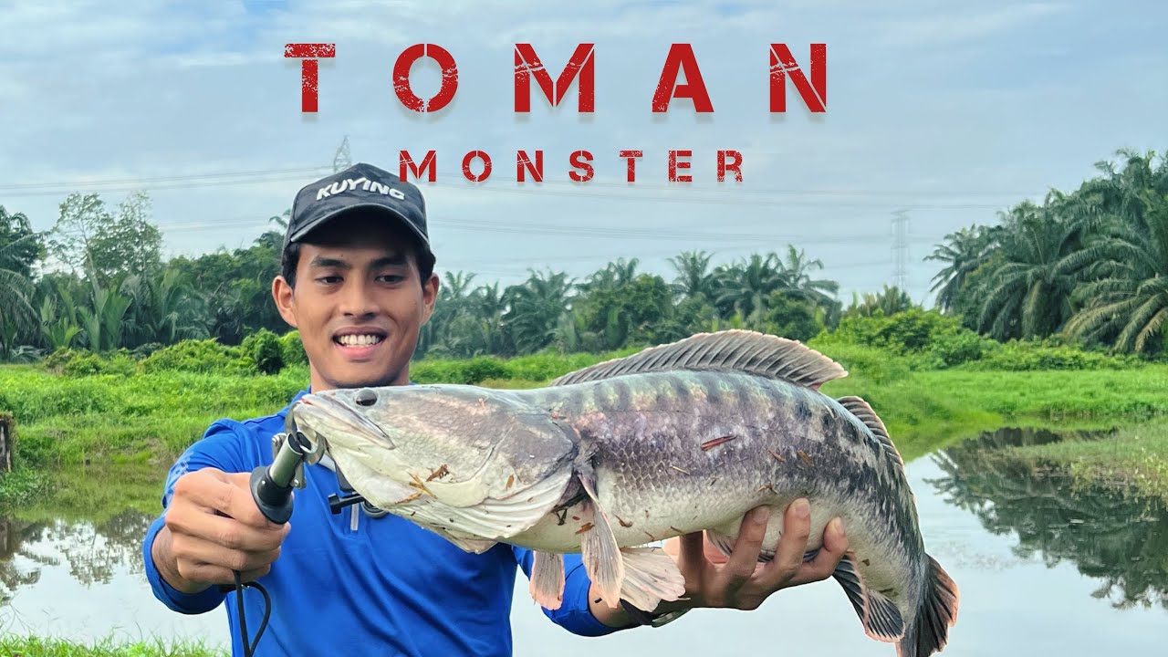 TOMAN MONSTER EXPLOSION ON TOP WATER | VLOG 03 - YouTube