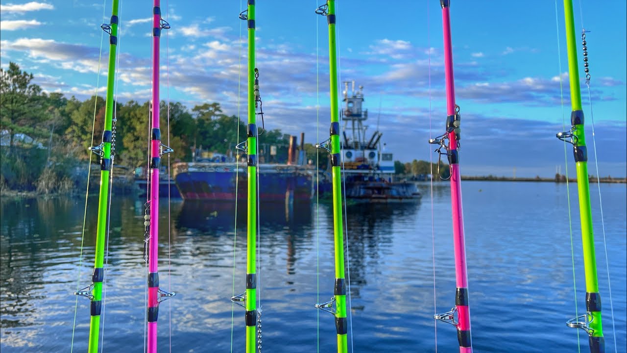 Live fishing barges (Fish Time Stamps in Description) - YouTube