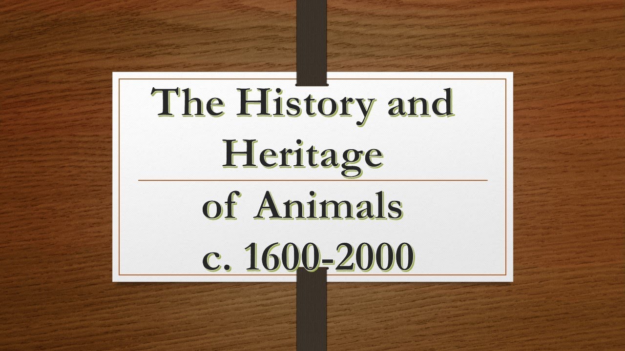 The History and Heritage of Animals c 1600 2000 - YouTube