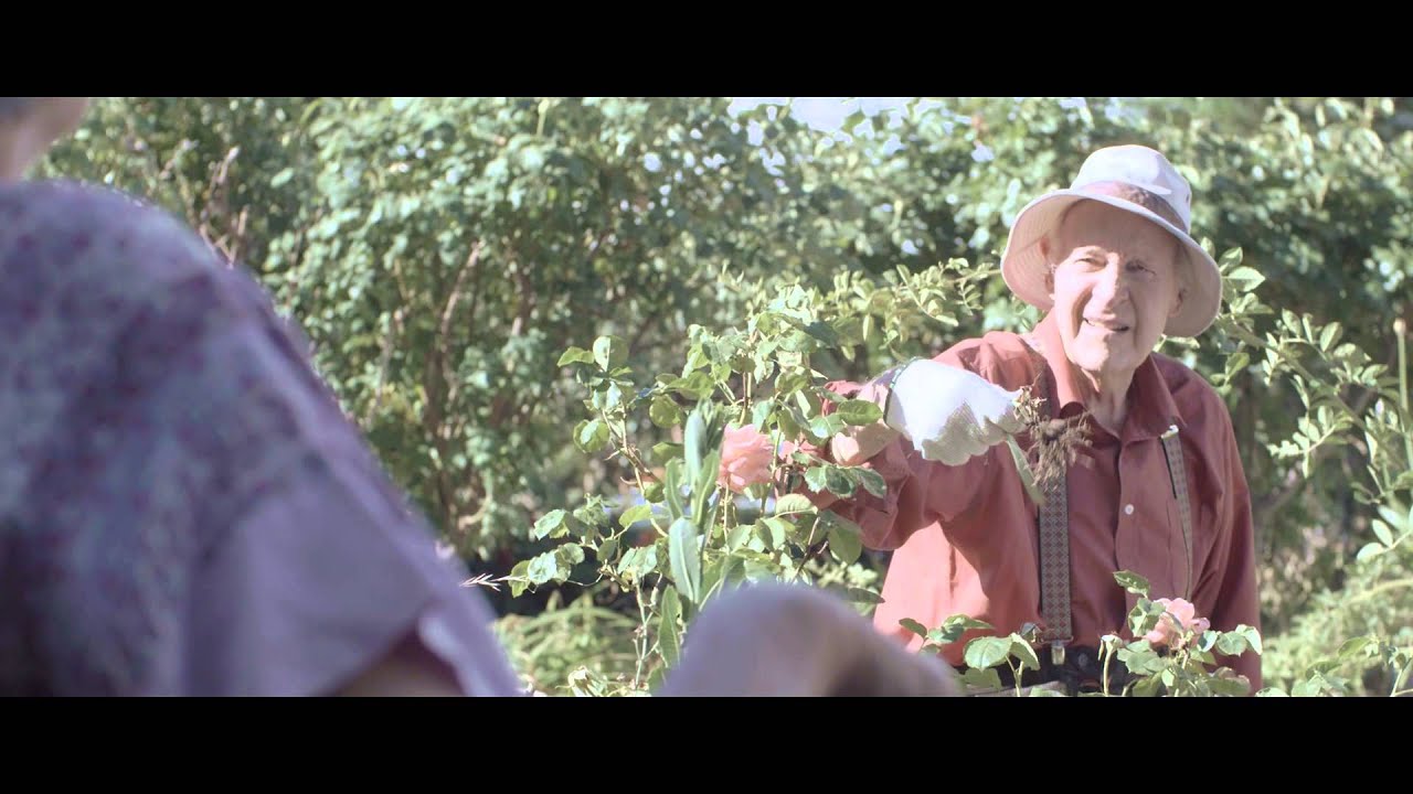 Just A Gent - Limelight Feat. R O Z E S (Official Music Video ...