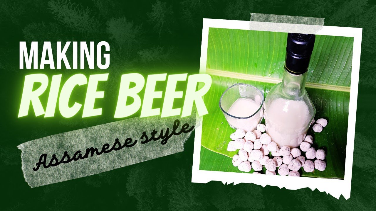 Rice Beer | Haaz Mód ápong | Homemade | Wild Brewers Yeast #RiceWine # ...