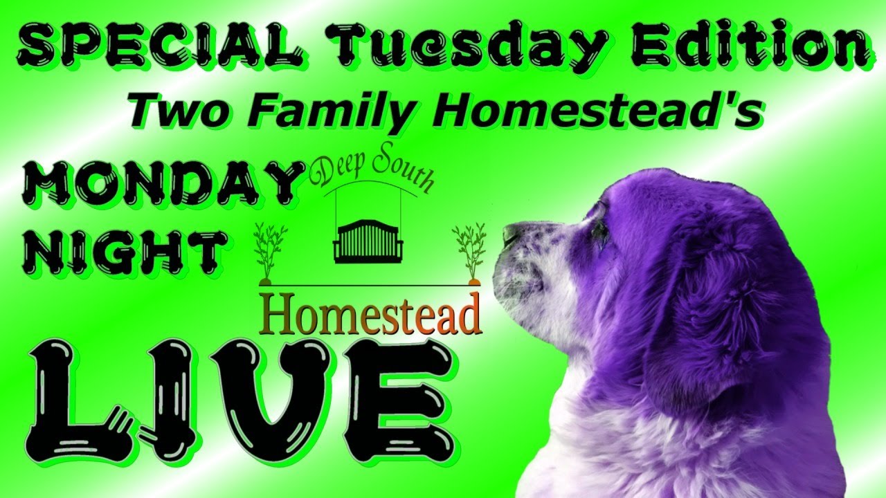 DEEP SOUTH HOMESTEAD - Monday Night LIVE - TUESDAY EDITION - YouTube