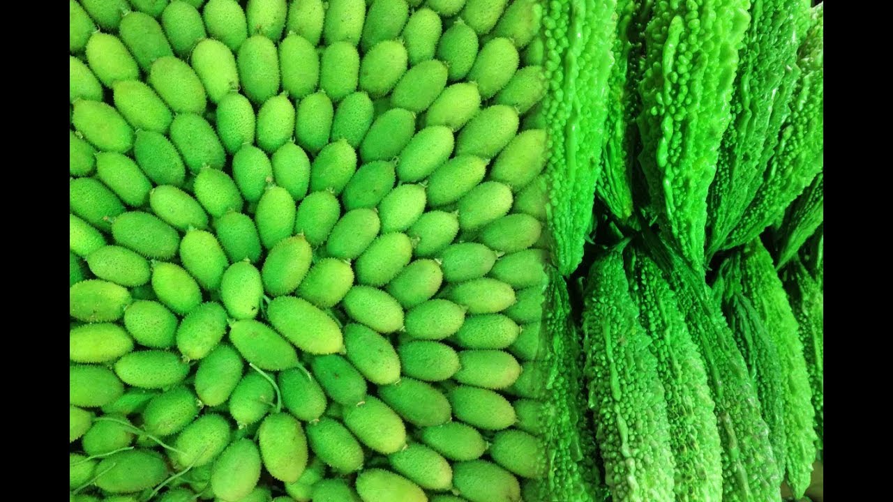 Green vegetables Karela are essential to meet all the needs of the body ...