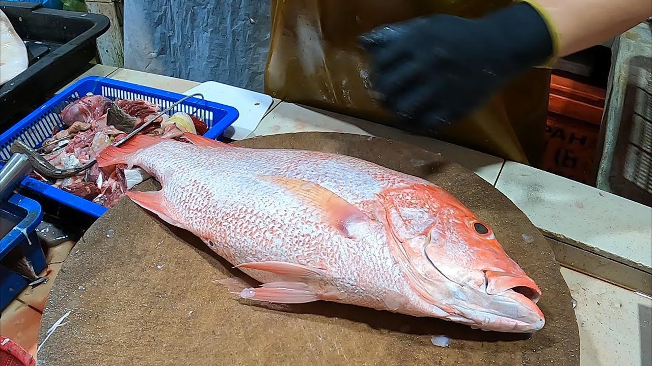 Clean Cut: Red Snapper Fillet Tutorial #fish #asmr #seafood #fishcutting #fishcutting_skills ...