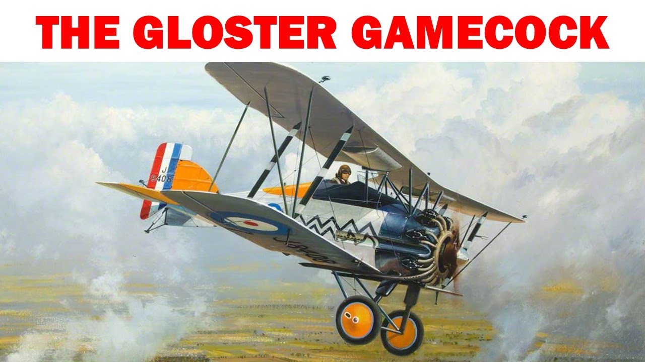 The Gloster Gamecock - YouTube
