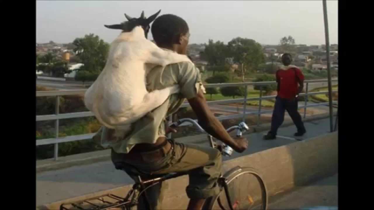 South African HUMOUR - YouTube