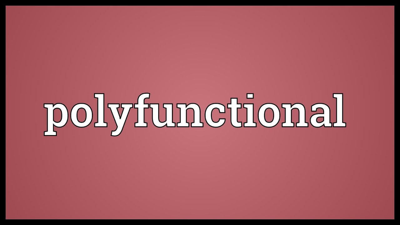 Polyfunctional Meaning - YouTube