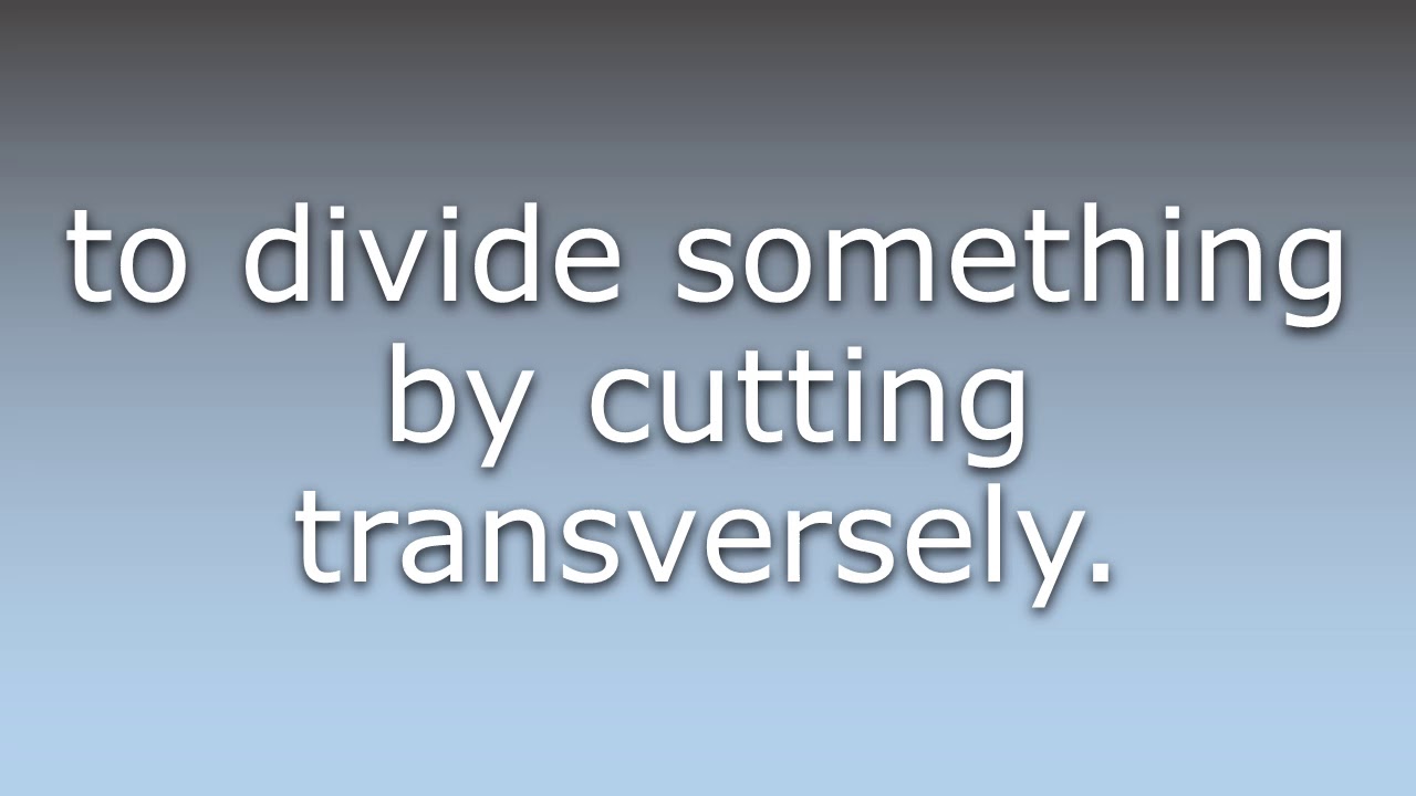 What does Transect mean? - YouTube