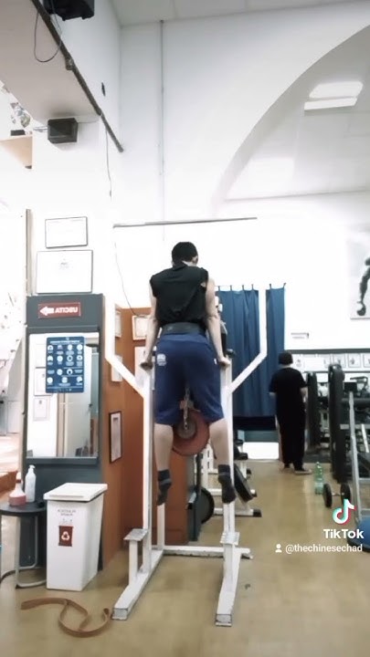 Weighted dips 14kg +65 #Capcut #gym #calisthenics #viral #fypシ #chestworkout #bodybuilding # ...