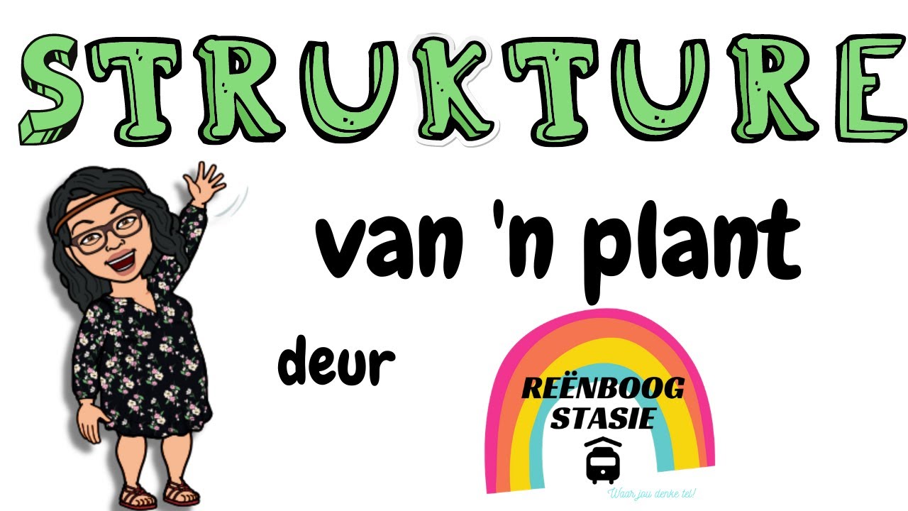 Dele/ Strukture van 'n plant| Leer meer oor die verskillende dele van ...