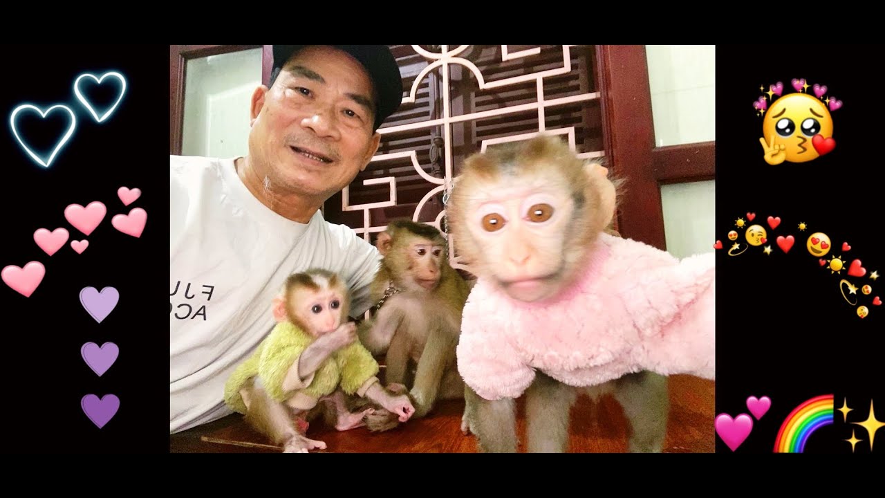 What a surprise after such a short time raising monkeys - YouTube