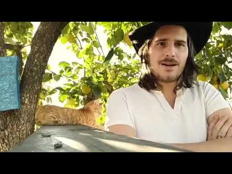 CIRCE, Interview with Danilo Marunovic - Blue Requiem - YouTube