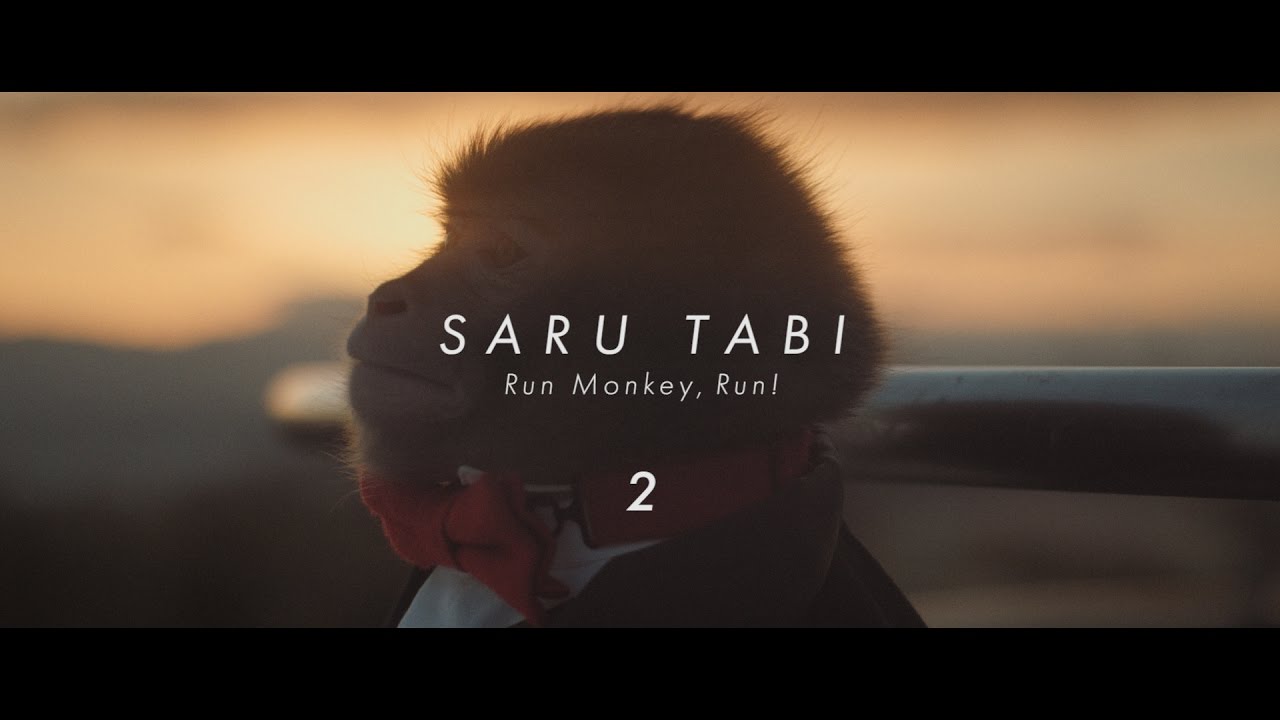 【SARU TABI（さるたび）】～Run Monkey,Run!～ Episode.2-koi-（恋編） - YouTube