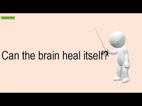 Can The Brain Heal Itself? - YouTube