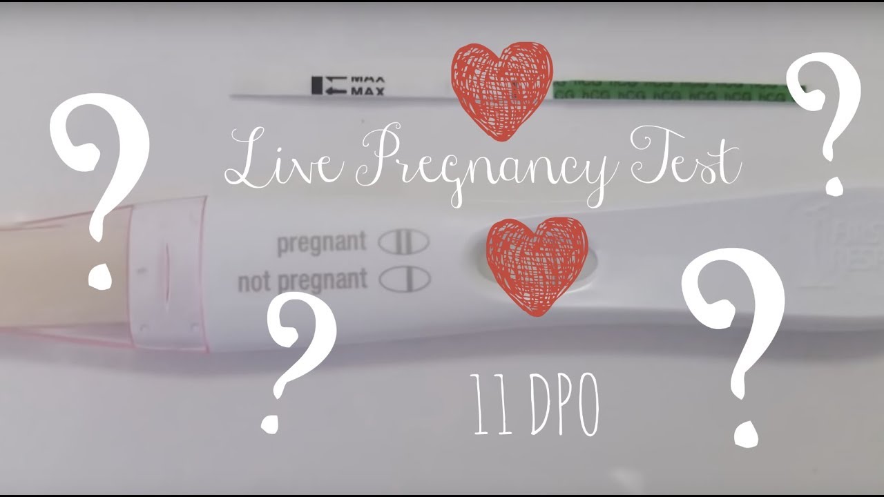 Pregnancy Symptoms At 6 Dpo