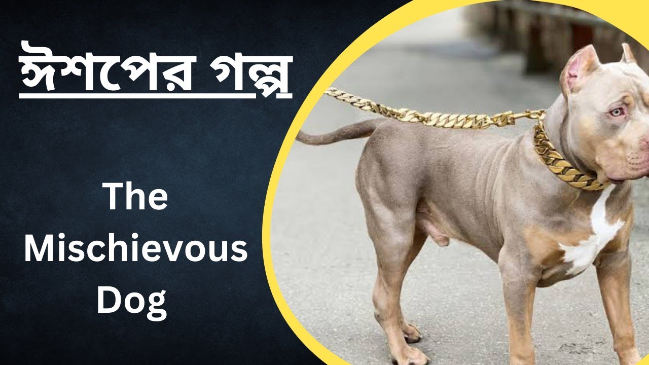 The Mischievous Dog English Stories With Bengali Meaning YouTube the-mischievous-dog-english-stories-with-bengali-meaning-youtube