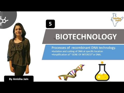 BIOTECHNOLOGY | Processes of recombinant DNA technology | Class 12 ...
