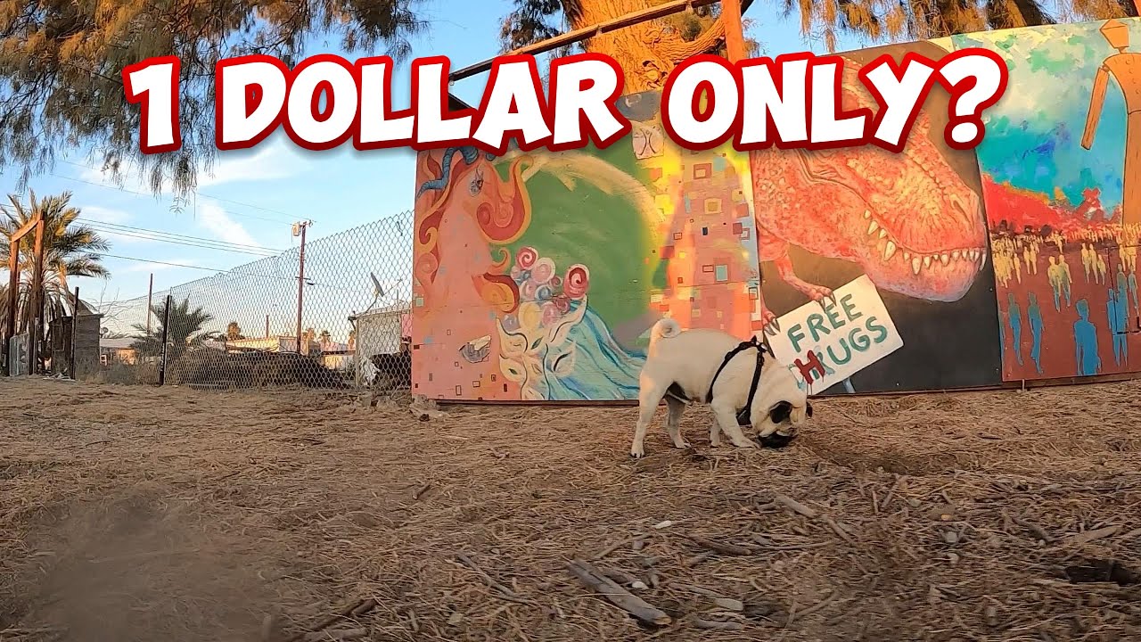 24 seconds of life outside the Matrix - YouTube