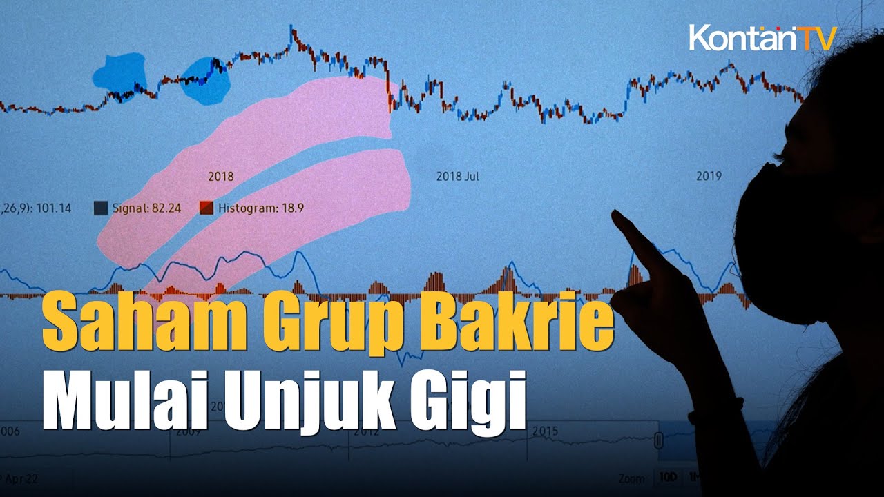 Saham Grup Bakrie Semakin Diminati, Bagaimana Prospeknya? - YouTube